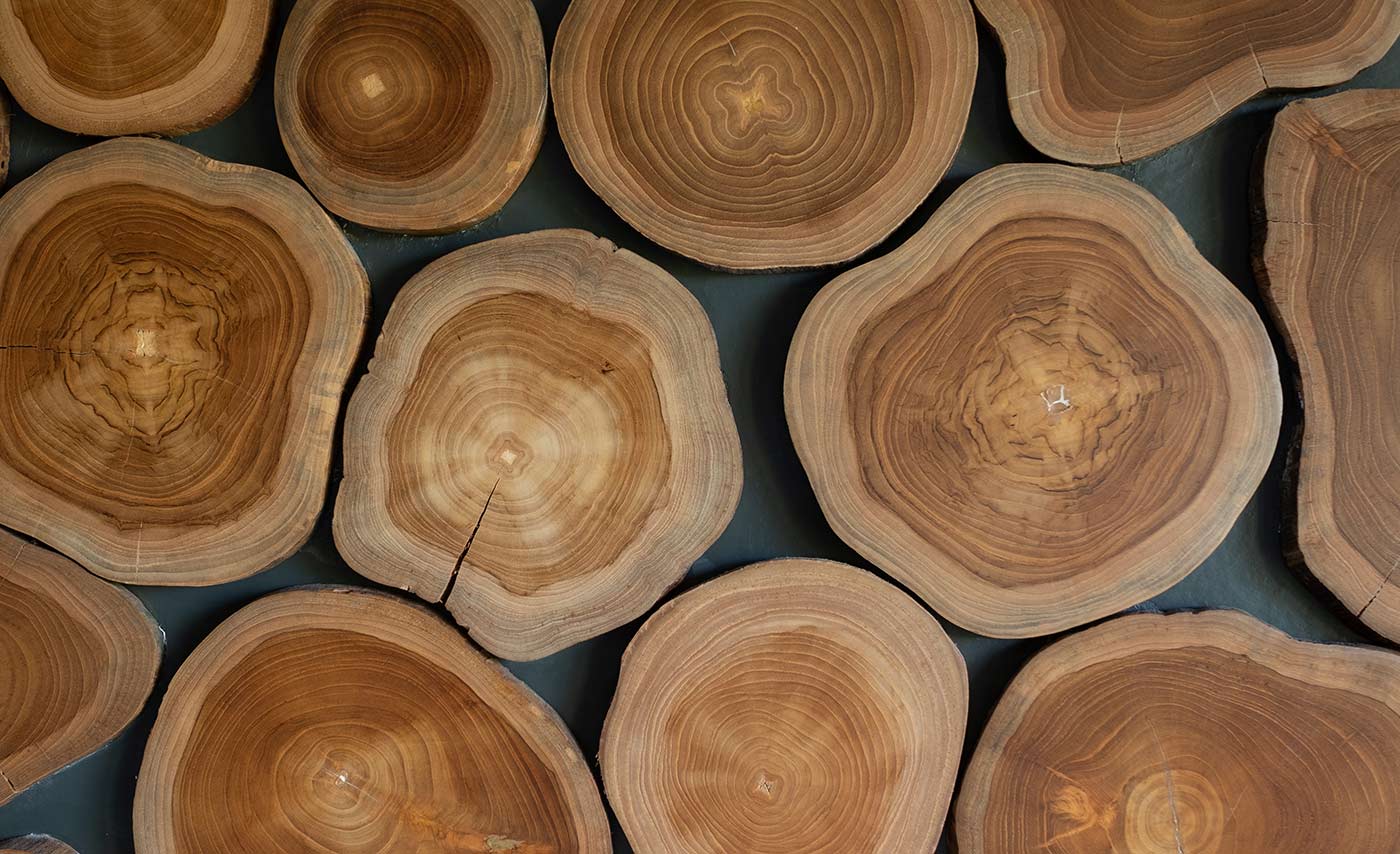 Top 10 Goodies en bois : la tendance éco-responsable à adopter absolument